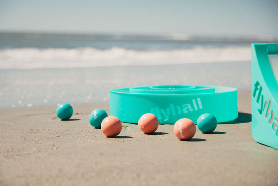 FLYBALL CLASSIC set – flyballgame